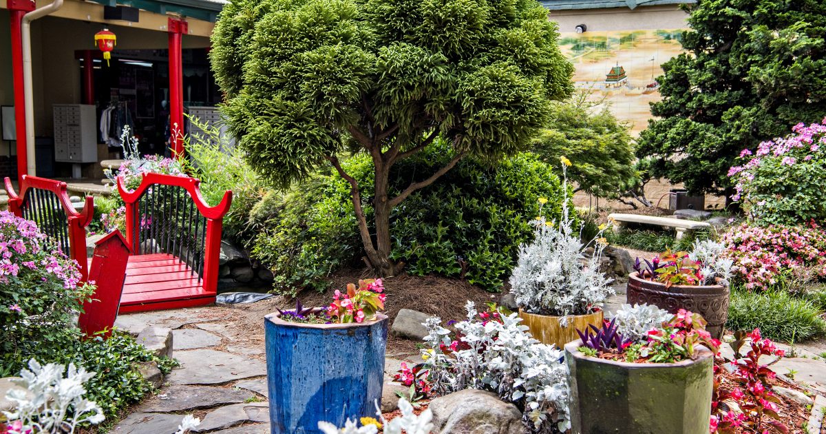 Spring Has Sprung: The Best Ways to Celebrate in DeKalb! | Discover DeKalb