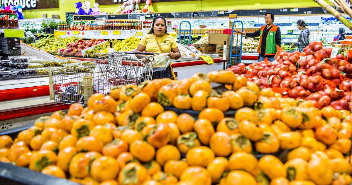 Fresh Finds & Local Flavor: Your Guide to the Tucker Farmers Market ...